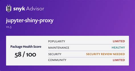 jupyter shiny proxy python package health analysis snyk