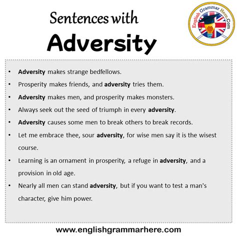 Sentences With Adversity Adversity In A Sentence In English Sentences For Adversity English