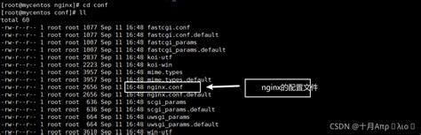 如何将域名解析到指定的端口（linux服务器，超级简单，图文）域名指向端口 Csdn博客