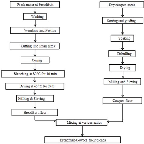 Flow Chart For The Preparation Of Breadfruit Cowpea Flour Blends