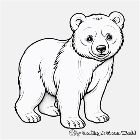 Bear Cub Coloring Pages Free And Printable
