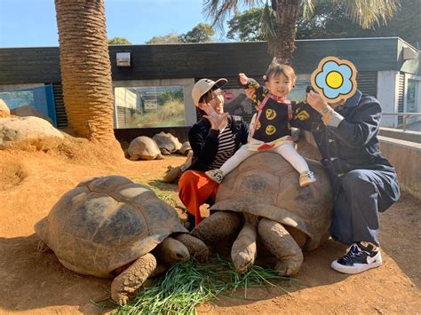 高松雪乃ゆきのん🦎 On Twitter 年内ラストizoo ️家族で遊びに行ってきました🐢🐍