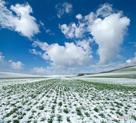春 作者：杨国生 朗诵：尚志华压岁钱