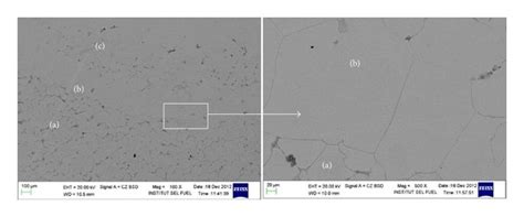 Image Of Microstructures Of A Aisi D2 B Diffusion Zone And C
