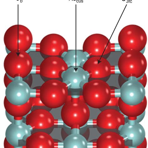 Schematic Representation Of The Ruo2 110 Surface The Surface Contains Download Scientific