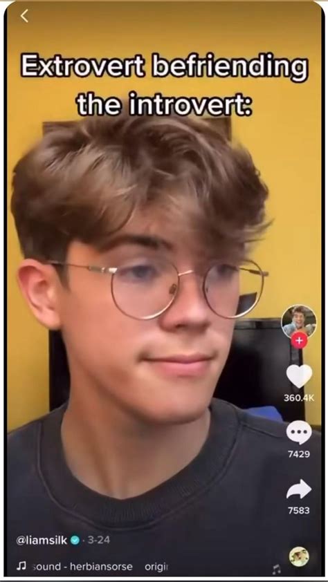 Introvert Extrovert Extrovert Extroverted Introvert Introvert