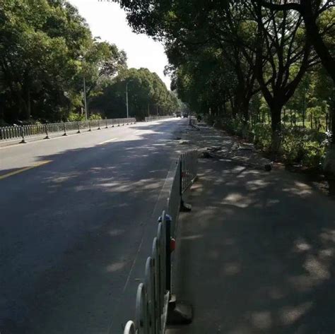 事发台州男子撞护栏后直接溜结果被拘留 李某 肇事 事故