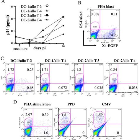 Transmission Of Hiv 1 From Infected Mddcs To Cd4 T Cells A Virus