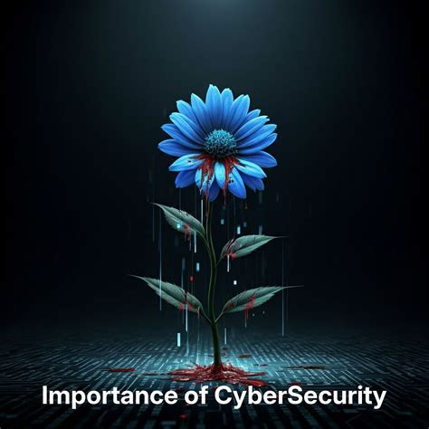 Cybersecurityawarenessmonth Dataprivacymatters Sarfraz Testing Software
