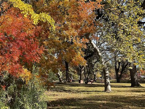 Gallery Fall Colors Around Chico • Chico News And Review
