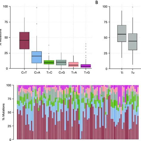 Statistics Of Mutation Types A Proportion Of 6 Different Mutation Download Scientific