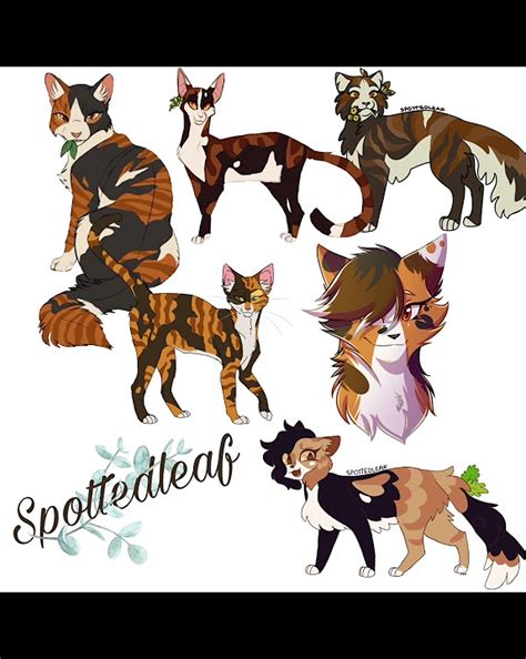 Spottedleaf Youtube