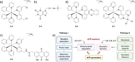 A Chemical Structure Of Organometallic Complex 3 3 Intervening In Download Scientific Diagram