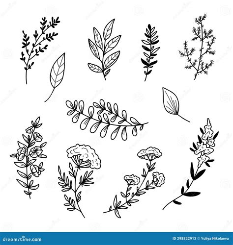 Vector Illustration Set Of Flowers And Leaves In Doodle Hand Drawing