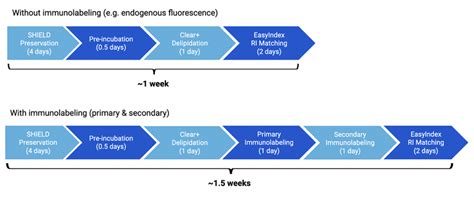 Lifecanvas Technologies At Nsh 2023
