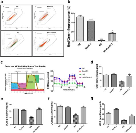 Measurement Of Mitochondrial Membrane Potentials ΔΨm And Download Scientific Diagram