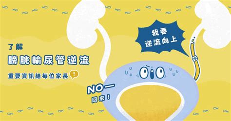 問8 線上健康諮詢 小朋友出現 膀胱輸尿管逆流 可能是發育異常或膀胱壓力過大