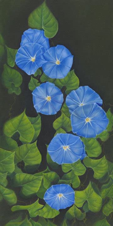 2025 Invitational Artists — Mayfest