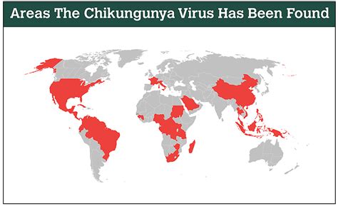 What Is Chikungunya Prevention And Treatment Of The Virus