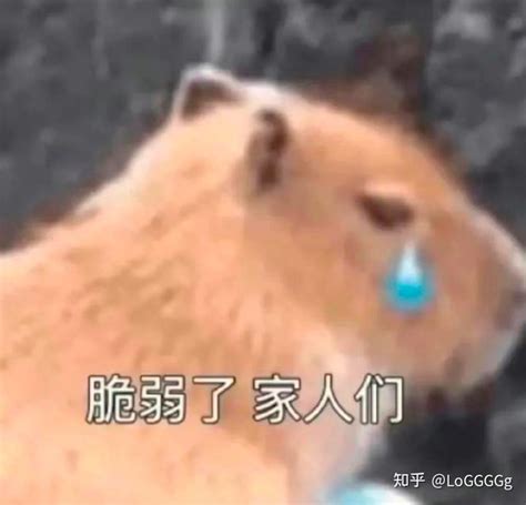 现在流行的“找搭子”真的靠谱吗？我想直接找个“恋爱搭子”，有什么高质量正规干净的恋爱找对象app推荐吗？不要那种烂大街c边的！ 知乎