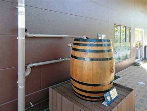 雨水を活用してエコな栽培を。環境大国のお手本と人気の雨水タンク Gardenstory ガーデンストーリー