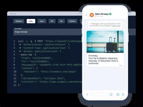 WhatsApp Business API Automate Customer Messaging