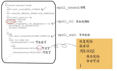 golang之协程和io多路复用更配 golang tcp多路复用 csdn博客