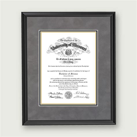 Alumni Artwork Diploma Frame