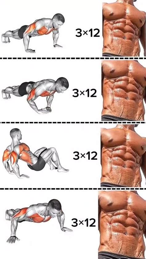 Chest Biceps And Triceps Workouts Perfect Muscle Workout At Home Or Gym