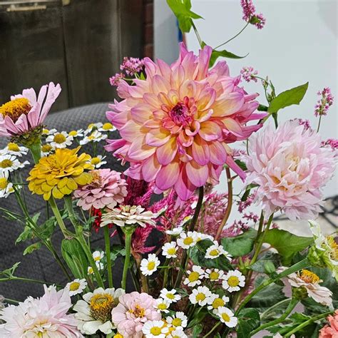 Bokay And Rose In Annies Herbarium