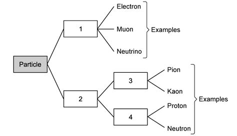 Classification Of Particles Aqa A Level Physics Exam Questions