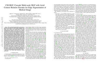 CM MLP Cascade Multi Scale MLP With Axial Context Relation Encoder For