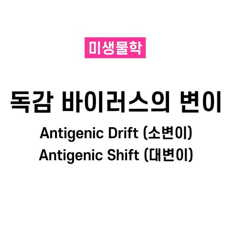 세균학 02 그람 양성균gram Positive Bacteria Vs 그람 음성균gram Negative