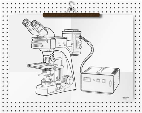 Microscope Vector Illustration Behance
