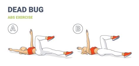 Dead Bug Pose Over 33 Royalty Free Licensable Stock Vectors And Vector