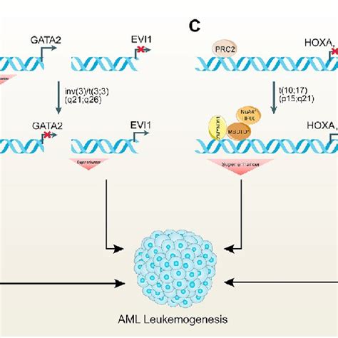 The Main Super Enhancers Characterized In Aml A Brg1 Brd4 And Download Scientific Diagram