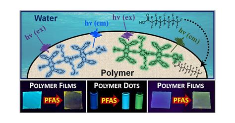 Ultratrace Pfas Detection Using Amplifying Fluorescent Polymers Journal Of The American