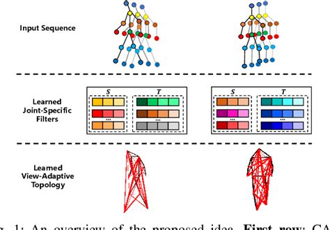 Figure From Condition Adaptive Graph Convolution Learning For Skeleton Based Gait Recognition