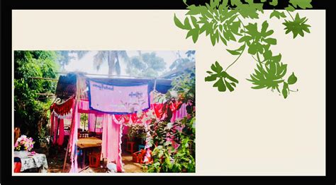 Myo ၂၀၂၄ နိုဝင်ဘာလ ၃ ရက် ၊ ပုလဲမြို့နယ်၊ အိုင်မရွာ စုပေါင်းမဟာဘုံကထိန