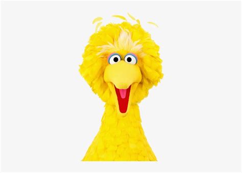Sesame Street Big Bird Png Sesame Street Characters Big Bird