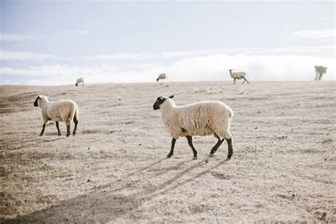 Muestra Fragmentos De Beatriz Garcés Depto51 Blog
