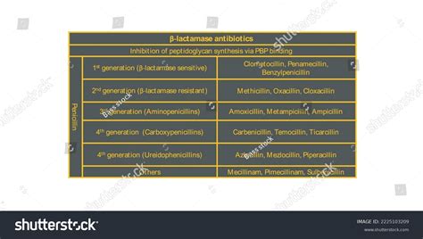 Table Showing Classification Penicillin Antibiotic By Stock Vector