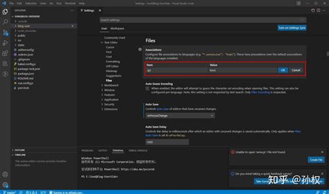 vscode使用 知乎
