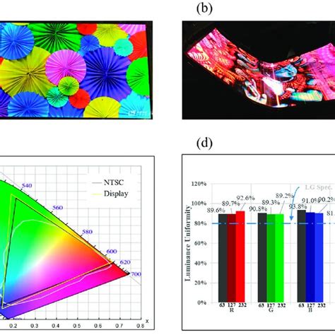 Lijuan Xiang Shenzhen University College Of Physics And