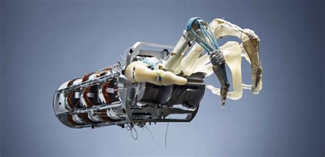 anatomically correct testbed act hand reneu robotics lab