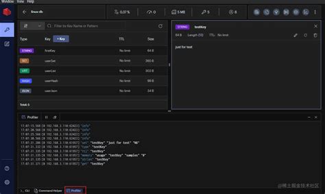 springboot redis official visualization tool redisinsight 个人文章 segmentfault 思否