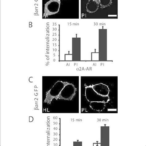 Homology Of The N Terminal Portion Of The Second Intracellular Loop Download Scientific Diagram