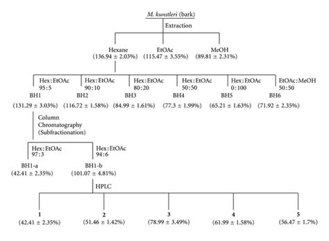 Fractionation And Isolation Of The Bioactive Compounds From The Bark Of Download Scientific