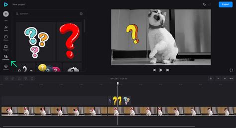 How To Freeze Frame Video Online Clideo