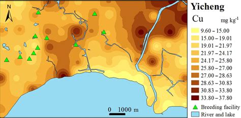 Filled Contour Map Generated By Inverse Distanceweighted Interpolation Download Scientific